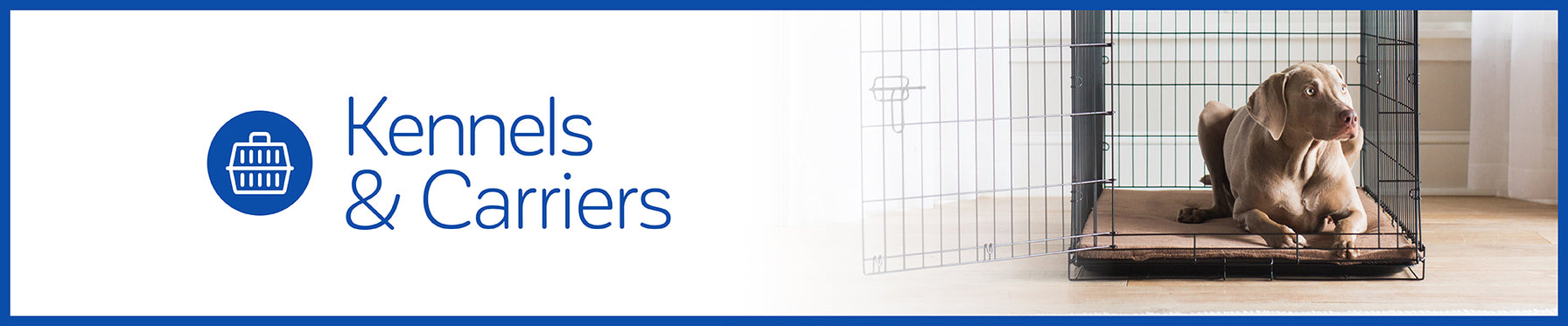 Premium Dog Kennels – Safe Dog Crates for Home & Travel – Petmate
