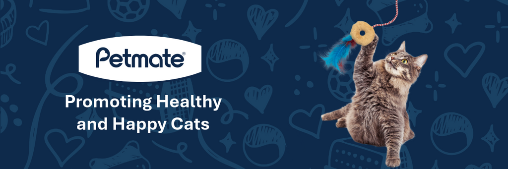 Online Cat Supplies | Petmate