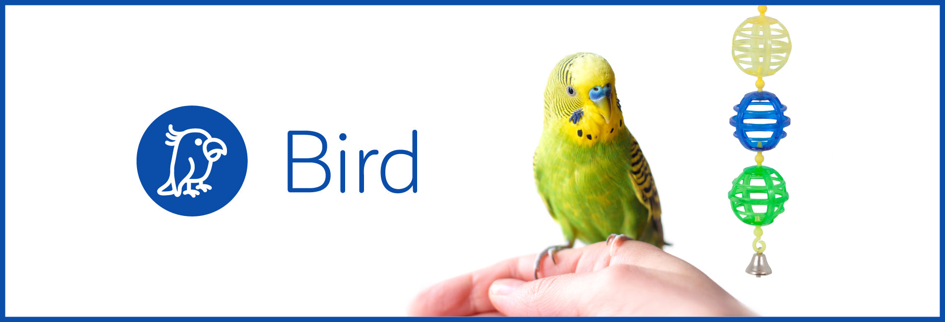 Shop Premium Bird Accessories - Perches, Toys, and Grooming Essentials ...