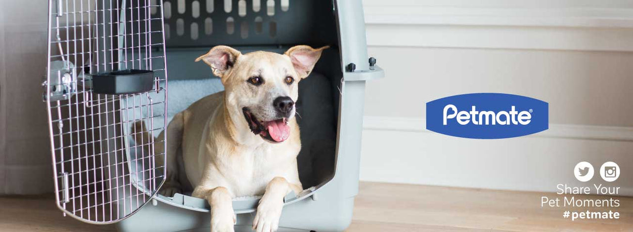 Kennel Solutions for Every Pet – Petmate
