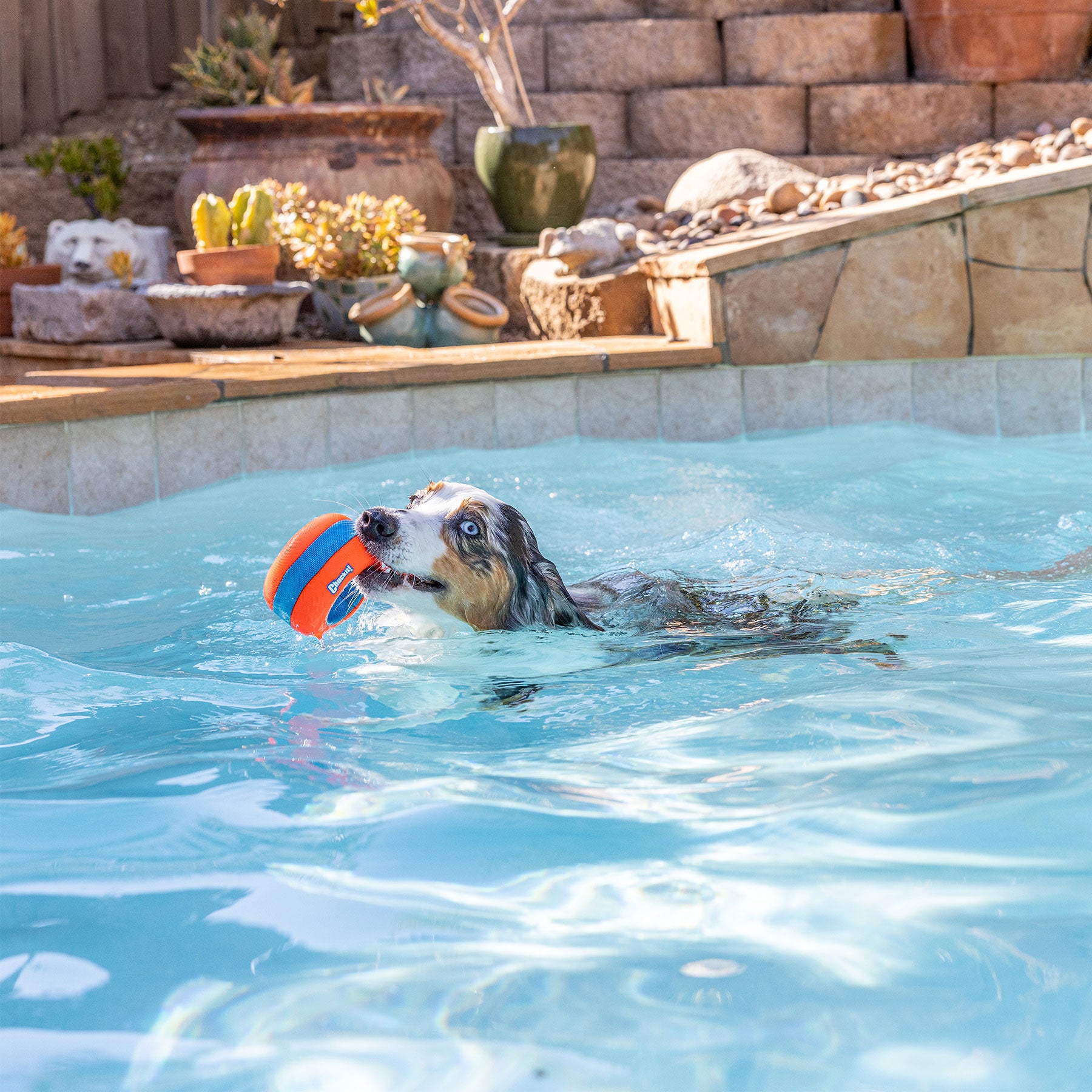 Chuckit! Amphibious Roller - Petmate