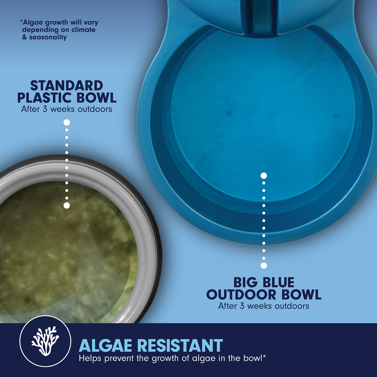 Petmate Big Blue Bowl For Pets | Petmate
