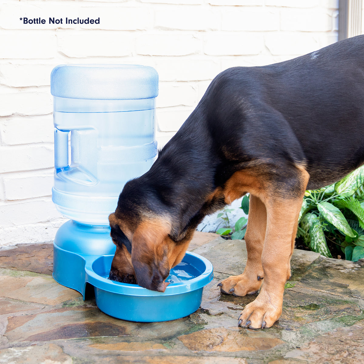 Petmate Big Blue Bowl For Pets | Petmate