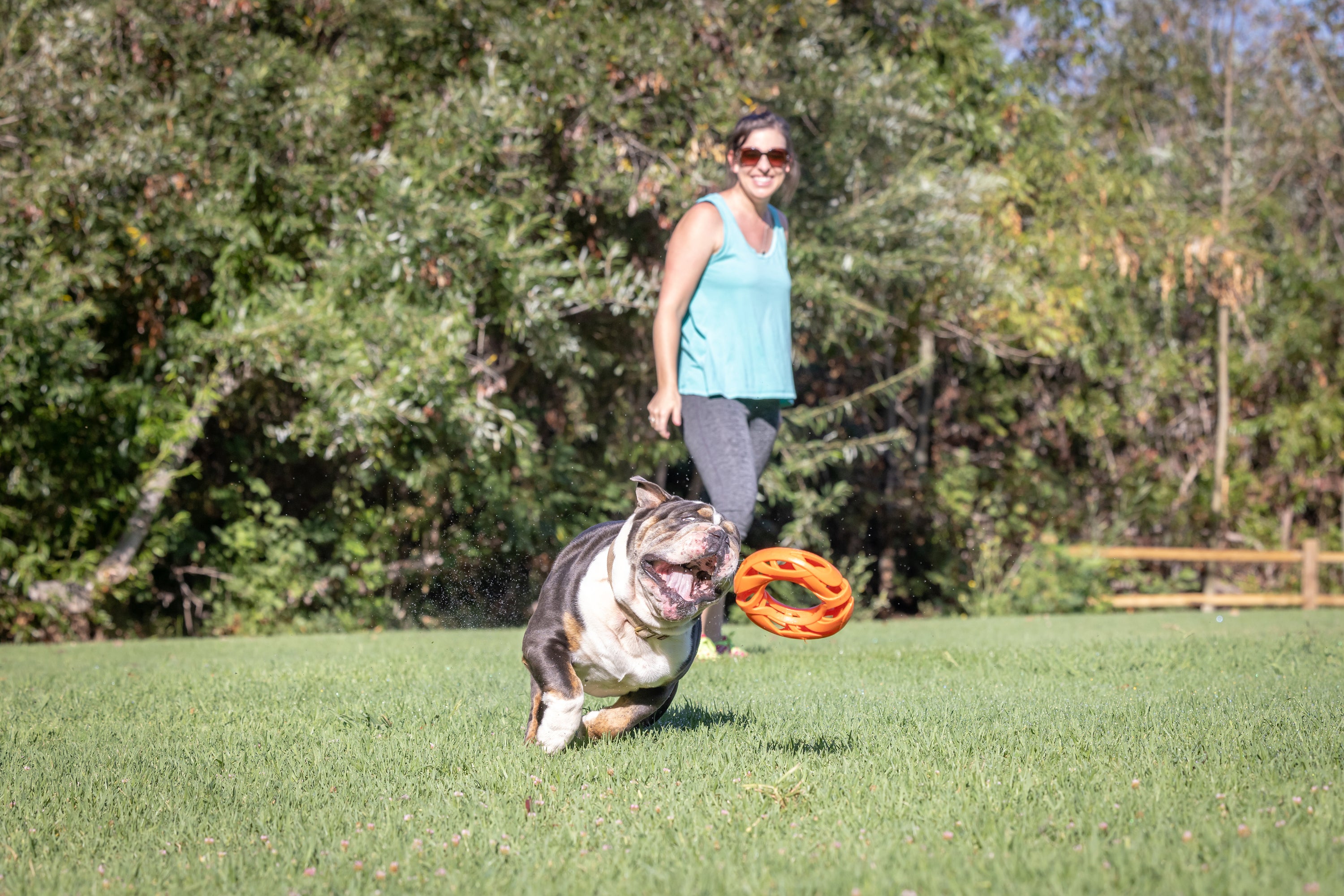 Chuckit! Air Fetch Wheel Dog Toy - Petmate