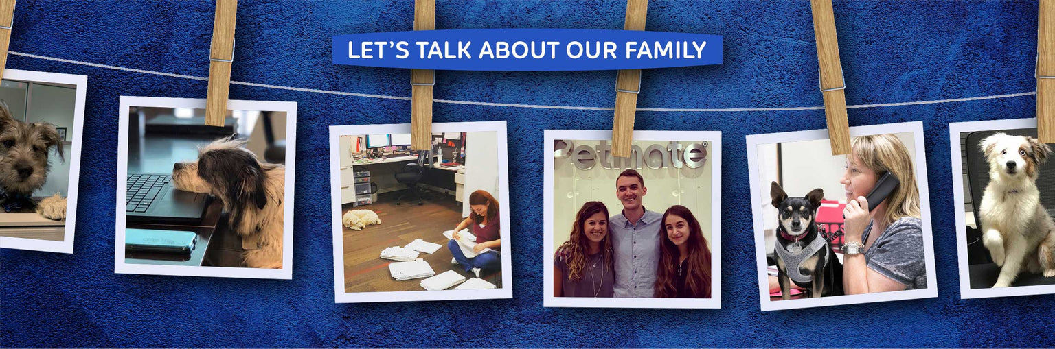 The Petmate Story | Petmate