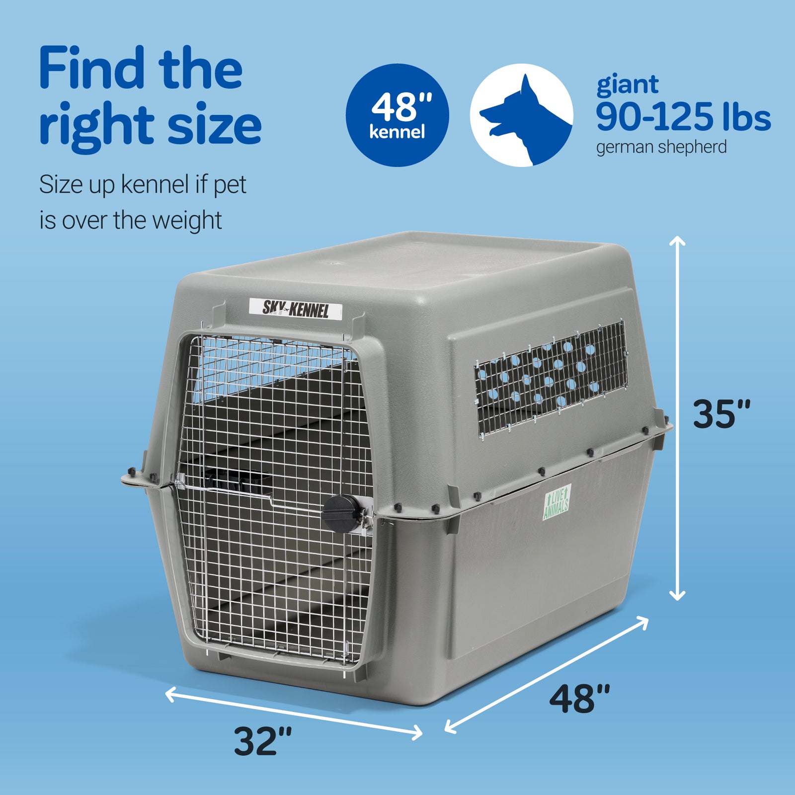 Petmate Sky Kennel For Air and Travel Dog Crate | Petmate