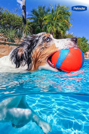 PetFusion - Petmate | Petmate