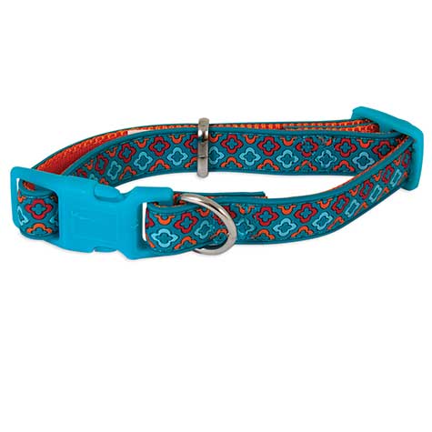 Durable & Stylish Dog Collars - Petmate, Aspen Pet, Ruffmaxx - Petmate