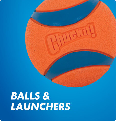Chuckit!® Dog Toys | Petmate
