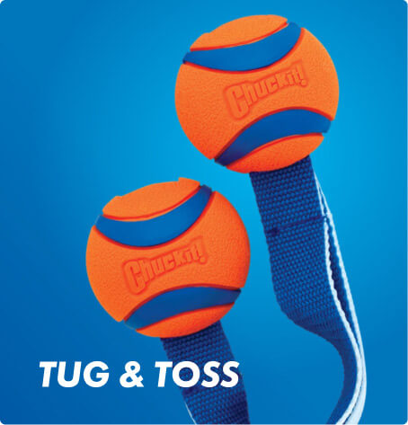 Chuckit!® Dog Toys | Petmate
