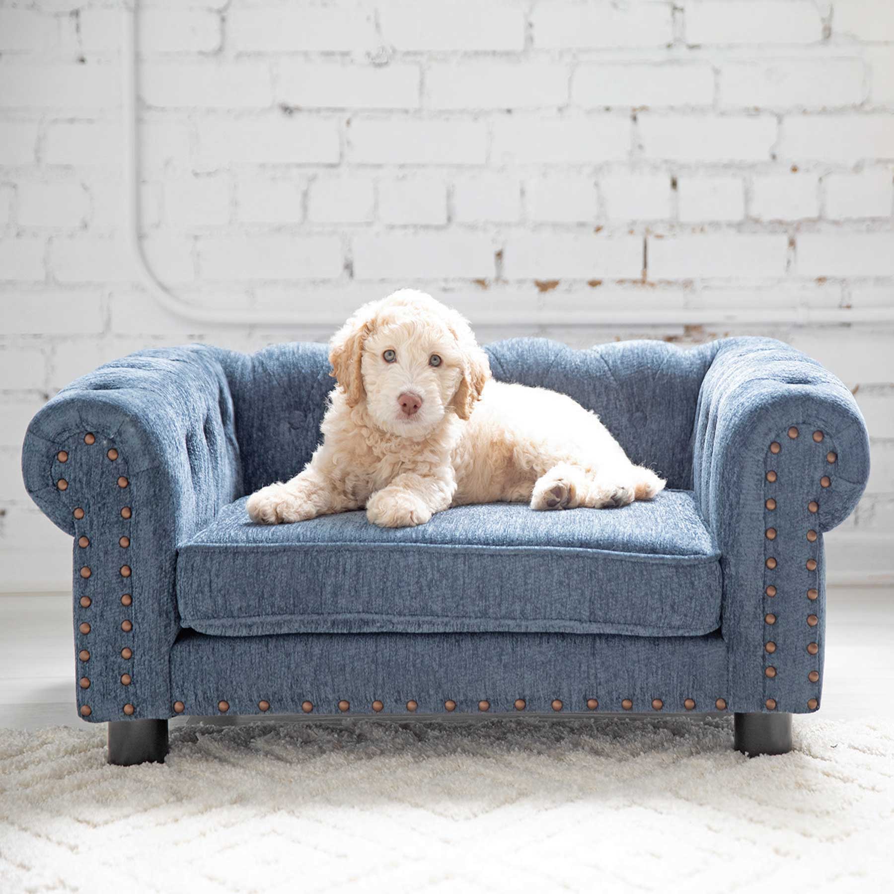 Petmate couch store