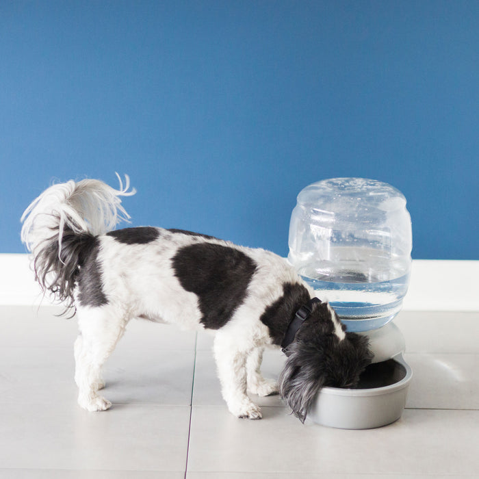 Petmate Replendish Pet Waterer With Microban | Petmate