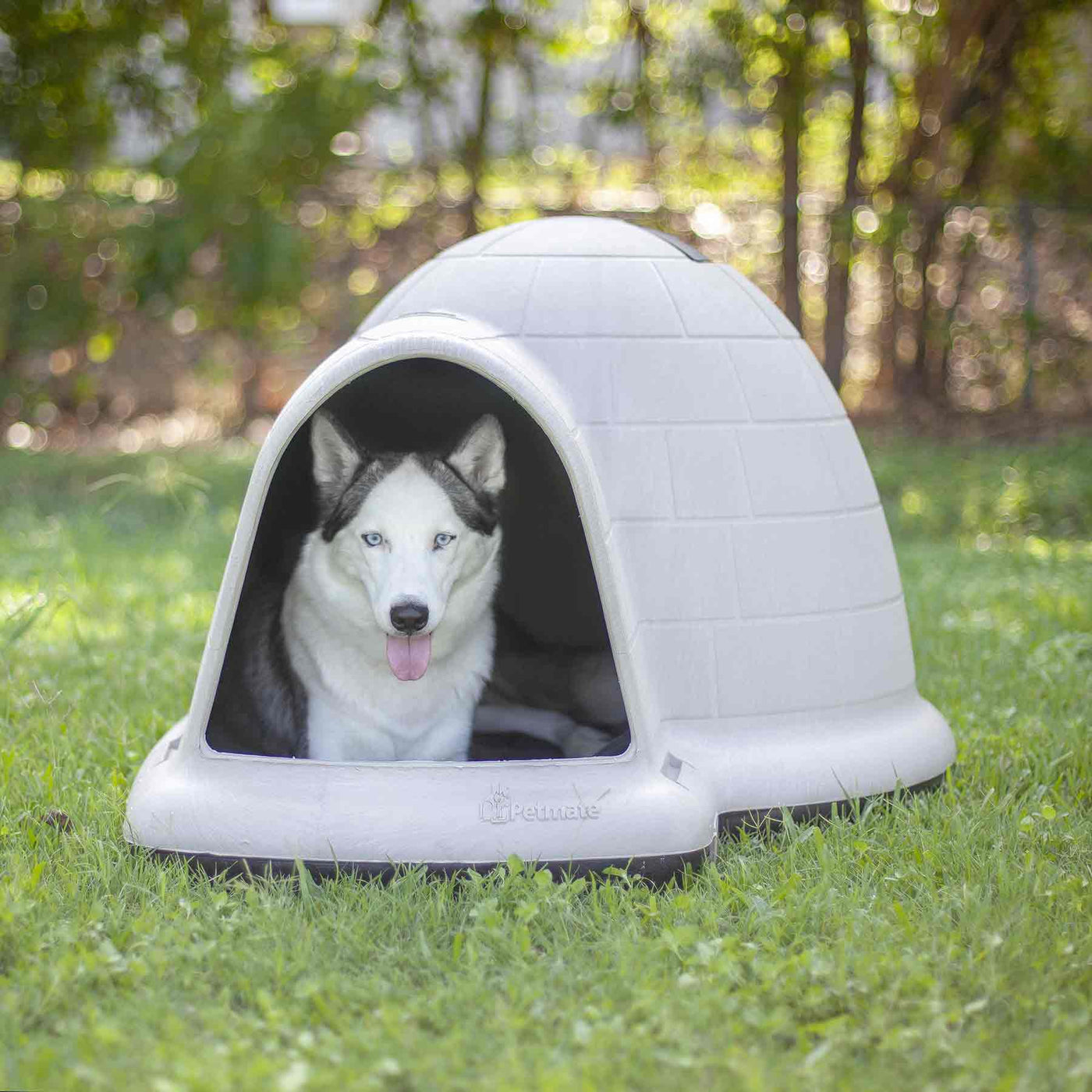 Petmate Indigo Dog House - Igloo Dog House