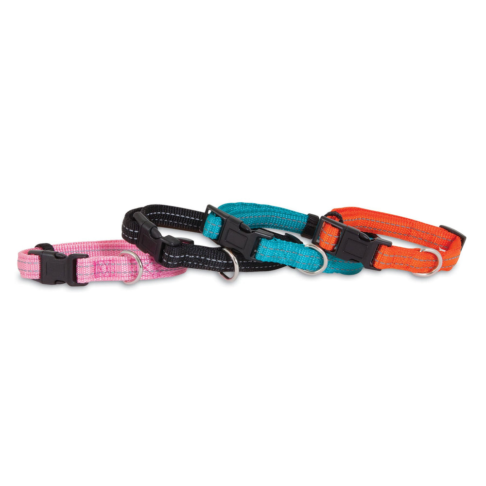 Durable & Stylish Dog Collars - Petmate, Aspen Pet, Ruffmaxx | Petmate